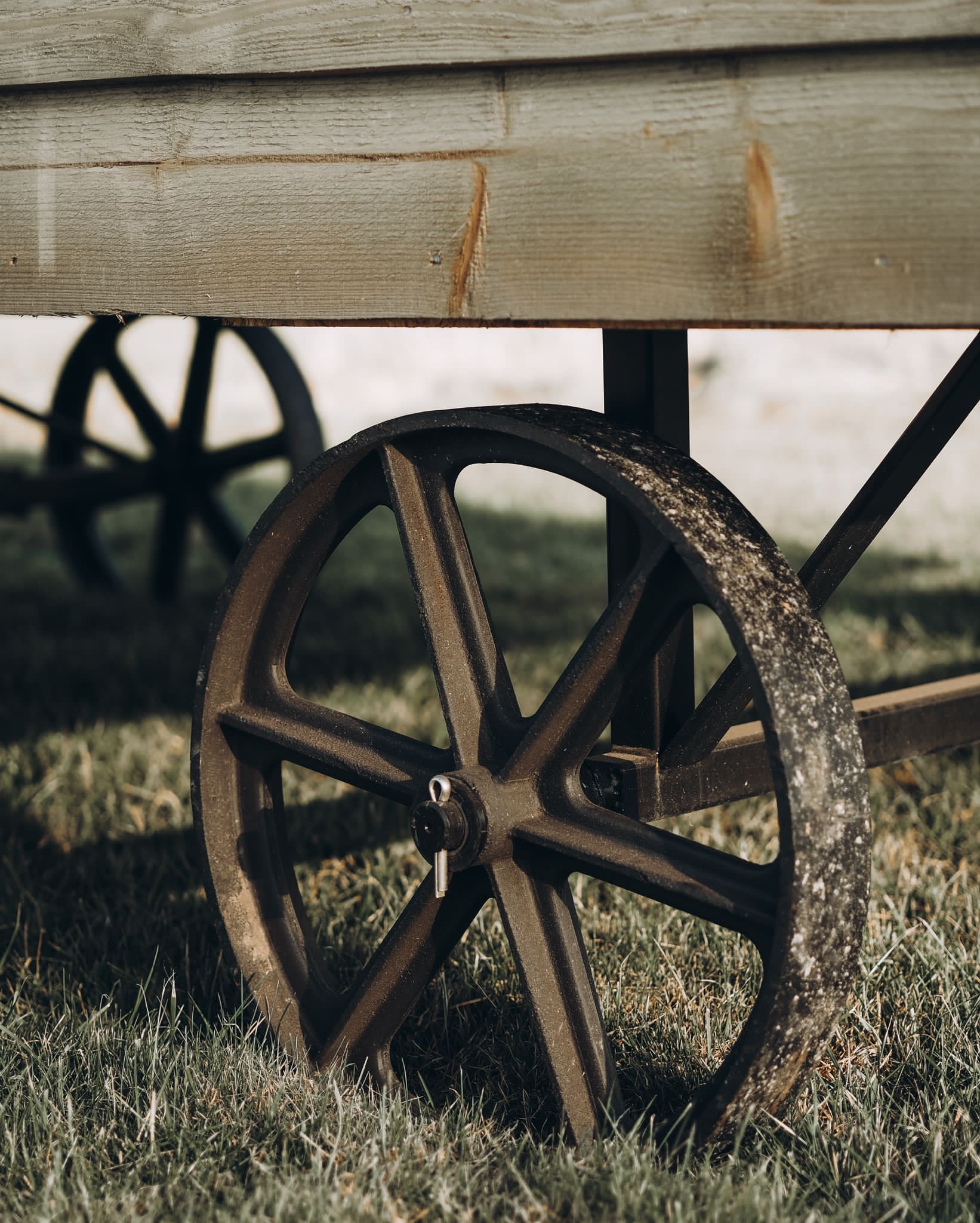 The Woody - Funky Huts